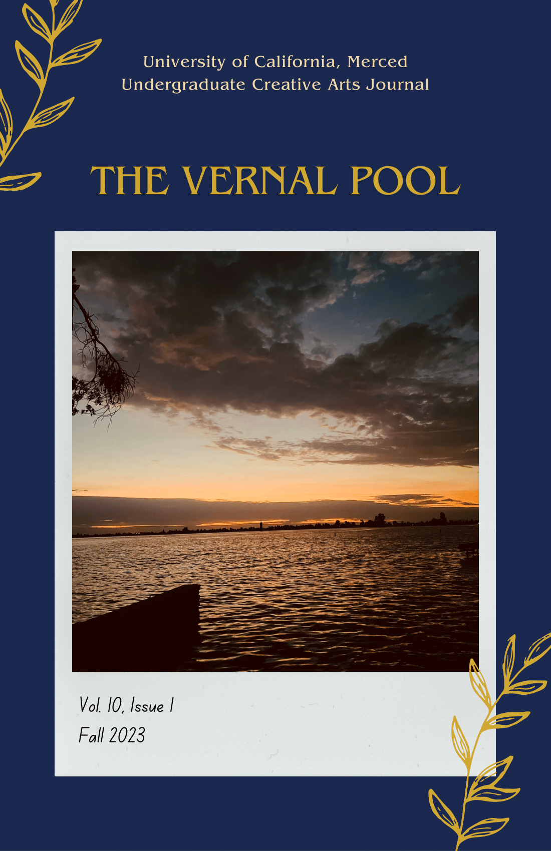 THE VERNAL POOL – UC Merced's Undergraduate Creative Arts Journal